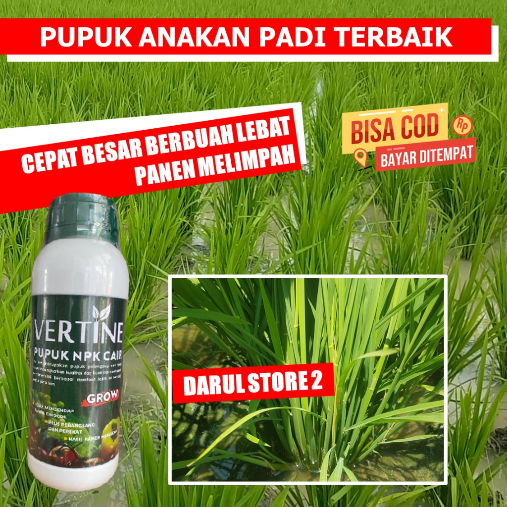 Jual PUPUK PERBANYAK Anakan Padi VERTINE NPK CAIR Pupuk Booster Pelebat Anakan Padi Berbuah ...