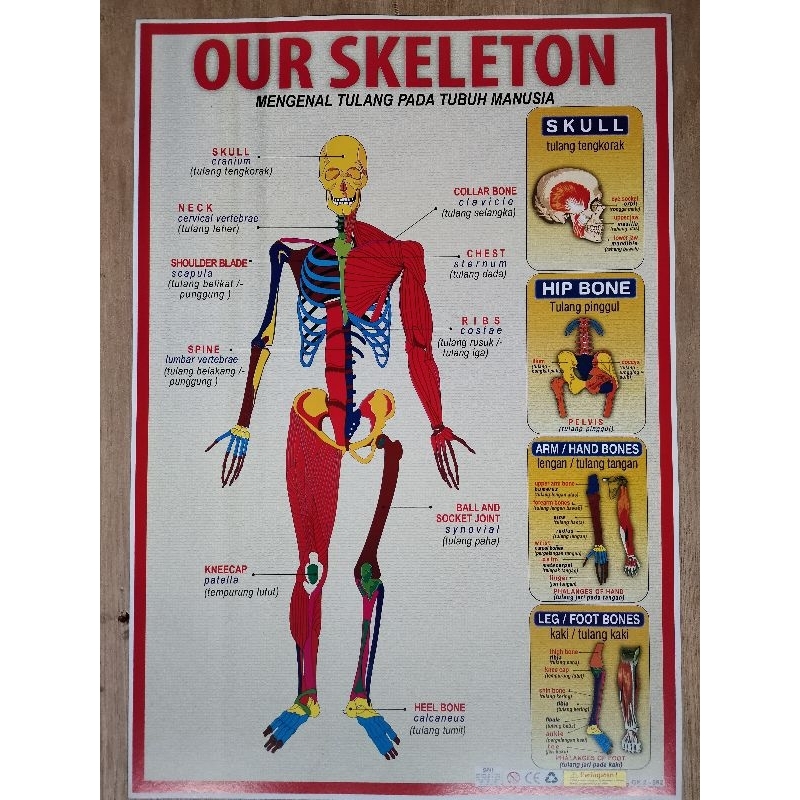 Jual Poster Edukasi Anak / Transportasi / Angka Romawi / Rambu Lalu ...