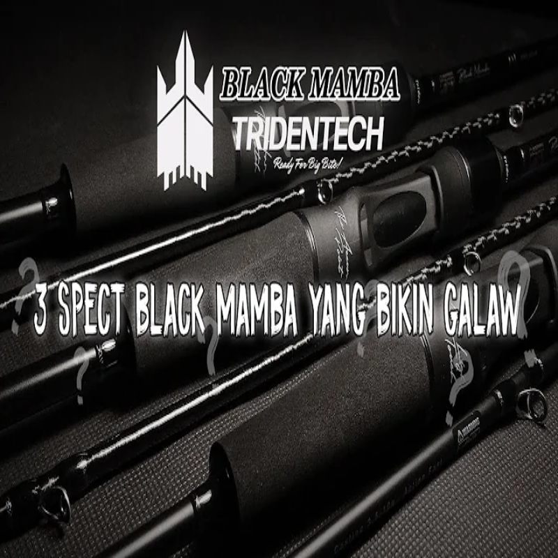 Jual Joran Pancing BC / Spinning Tridentech Black Mamba Baitcasting ...