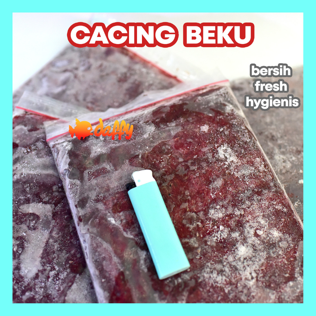 Jual Cacing Beku Premium 500 gram / Cabek Premium / Frozen Bloodworm ...