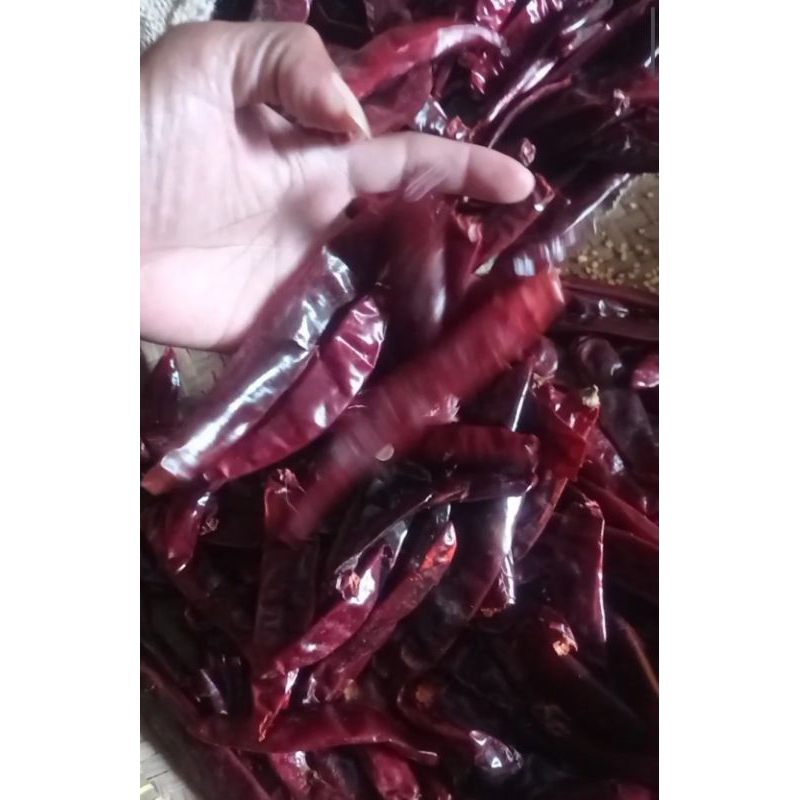 Jual CABE MERAH BESAR /WONDERHOT ( 1KG KUALITAS SUPER ) | Shopee Indonesia