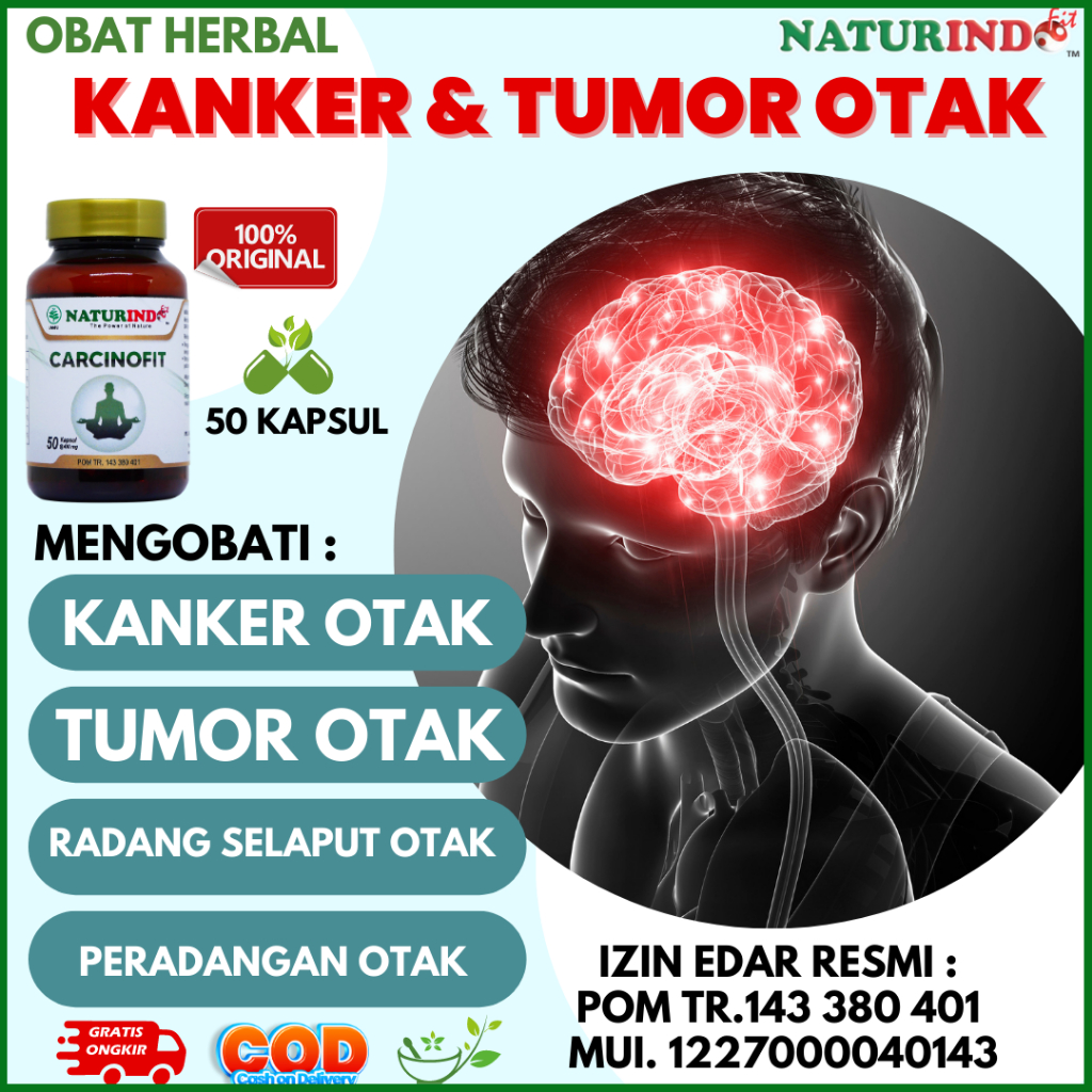Jual Obat Kanker & Tumor Otak Kelenjar Herbal CARCINOFIT Naturindo ...