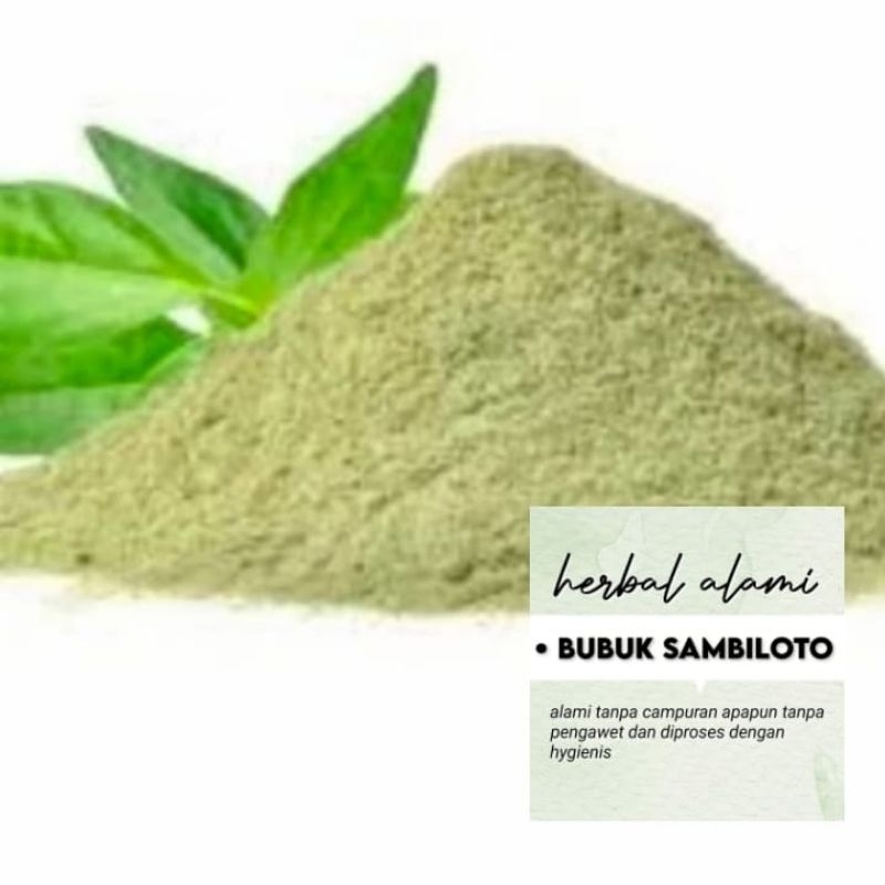 Jual Bubuk Sambiloto Serbuk Sambiroto Murni Alami | Shopee Indonesia