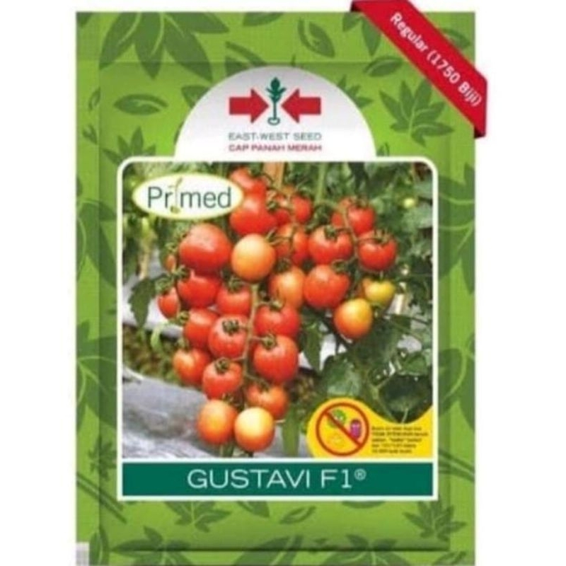 Jual Benih bibit tomat Gustavi F1 1750 butir | Shopee Indonesia