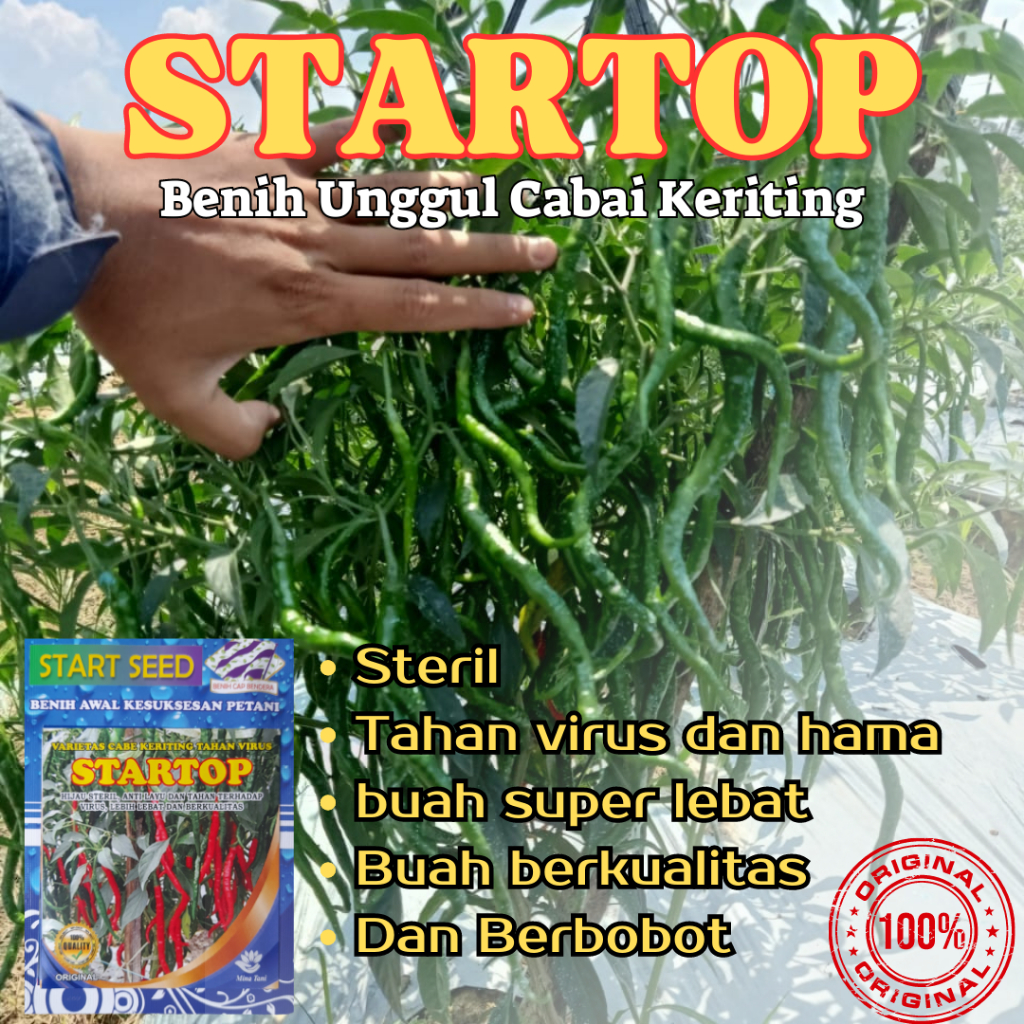Jual Benih Unggul Cabai Keriting STARTOP 10Gram Original | Shopee Indonesia