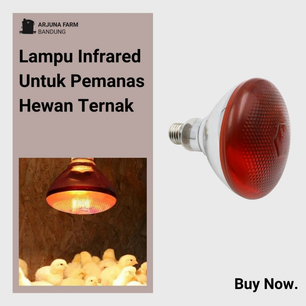 Jual Lampu Penghangat Pemanas Lampu Infrared Babi Ayam Sapi 100W - 150W ...