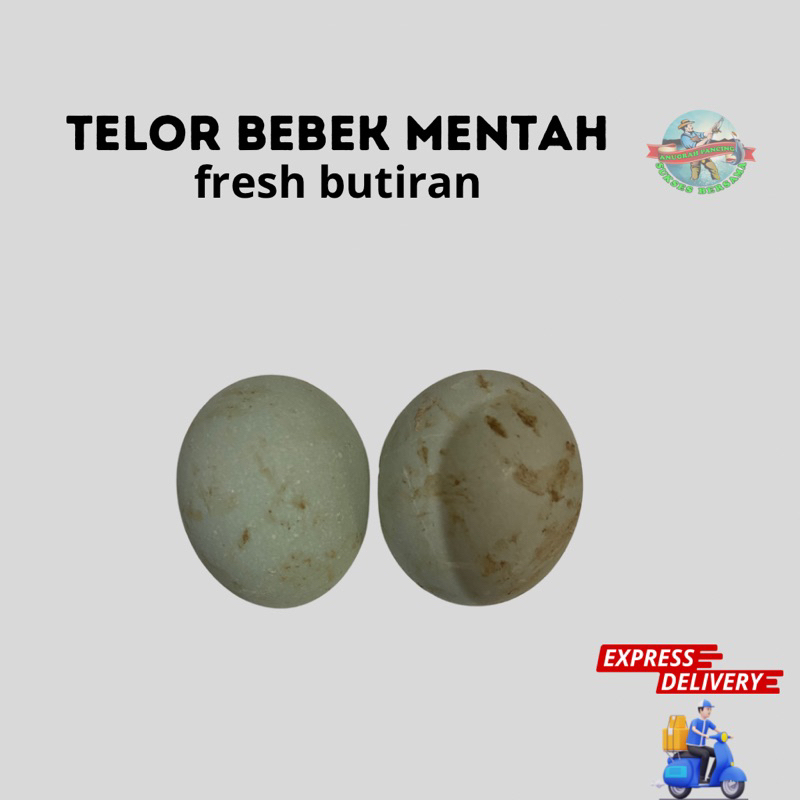 Jual Telor Bebek mentah Fresh baru Butiran | Shopee Indonesia