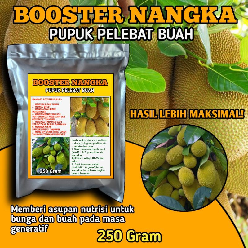 Jual Pupuk booster pelebat buah nangka pupuk organik perangsang buah nutrisi untuk bunga dan ...