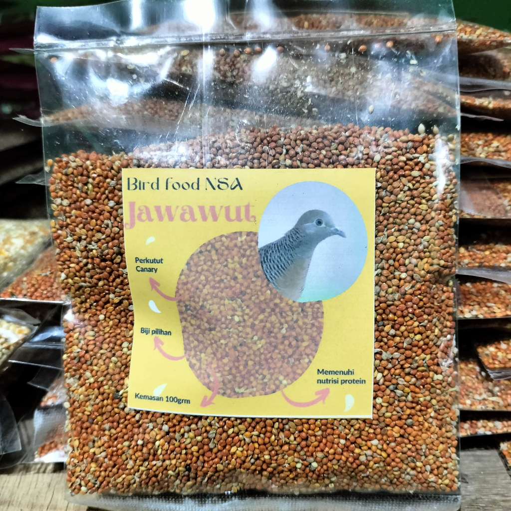 Jual Jewawut jawawut Pakan burng parkit perkutut Fresh Reapck | Shopee ...