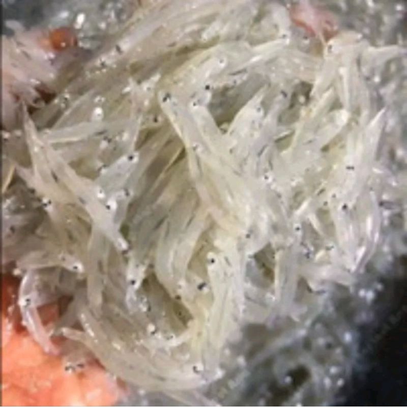 Jual ikan teri nasi basah segar 200gram | Shopee Indonesia