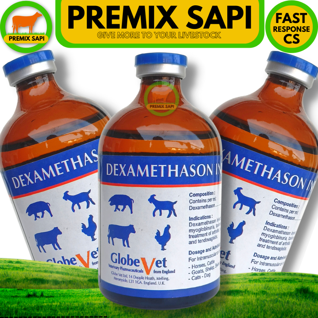Jual DEXA GLOBE VET 100 ml - DEXAMETHASON PANTEX HOLLAND | Shopee Indonesia