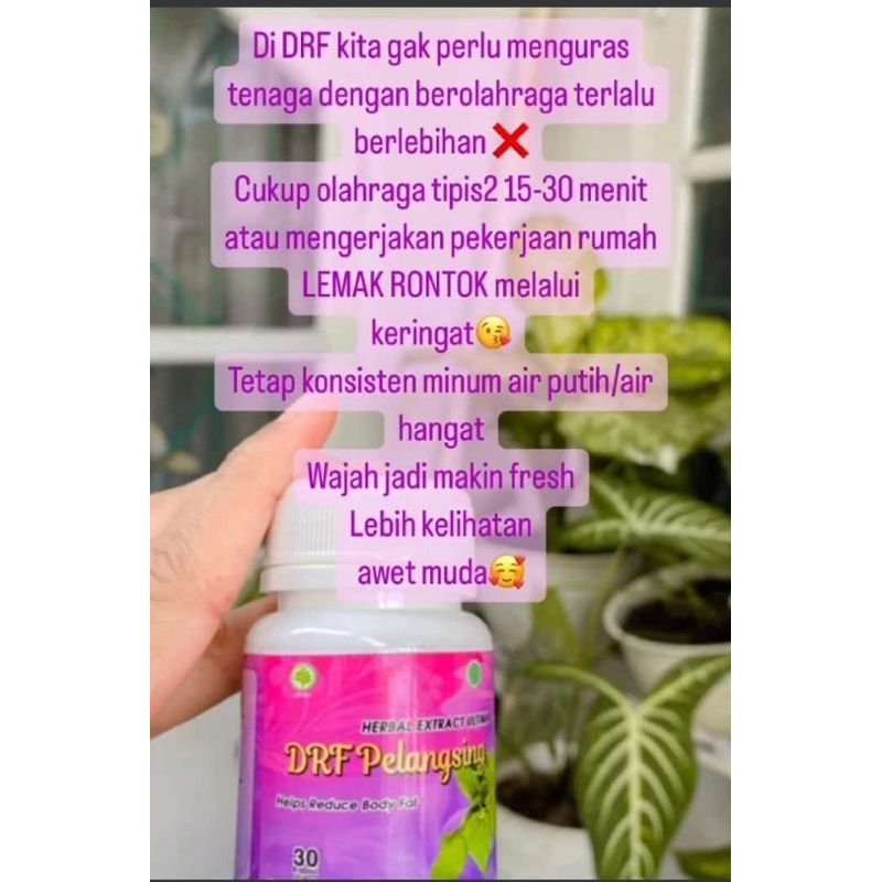 Jual Eceran Drf Herbal Ultima ( Penurun berat badan ) | Shopee Indonesia