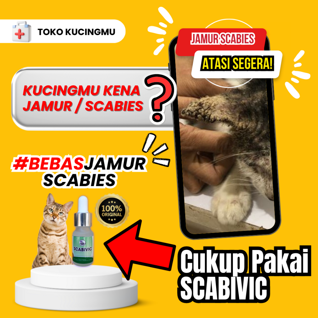 Jual Scabivic Obat Scabies dan Jamur Pada Kucing Terjamin AMPUH ...