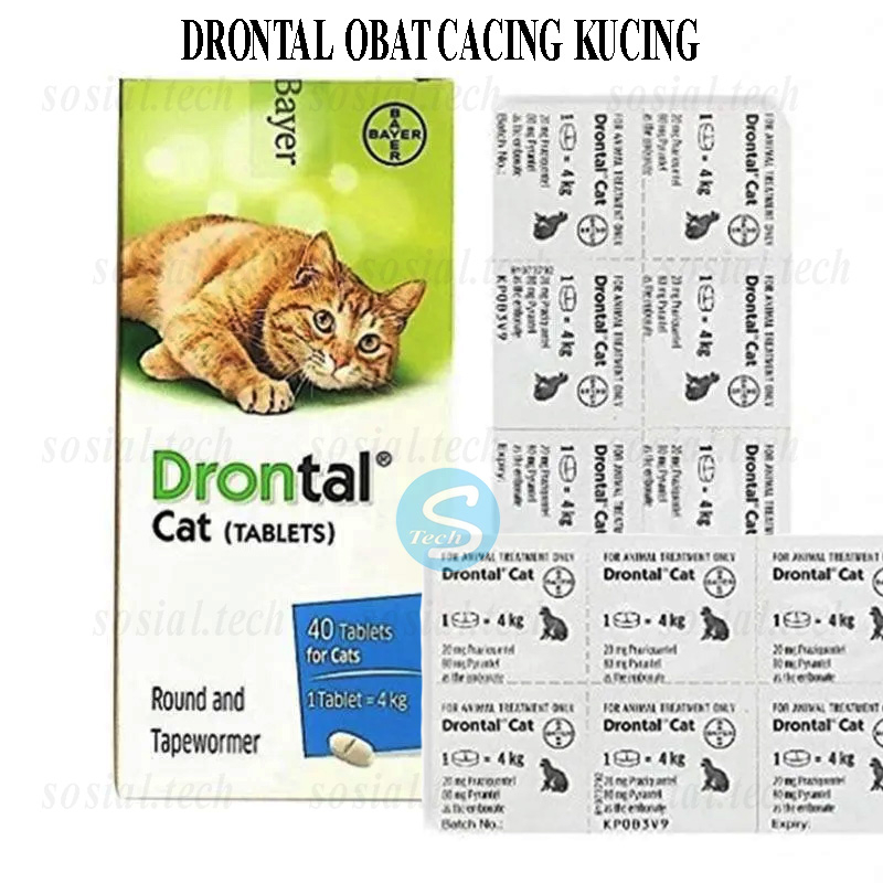 Jual DRONTAL Cat Obat Cacing Kucing 1 Tablet | Shopee Indonesia