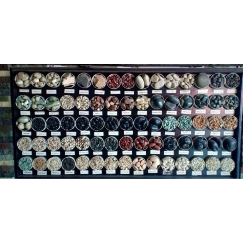 Jual BATU KORAL SIKAT 25KG | Shopee Indonesia