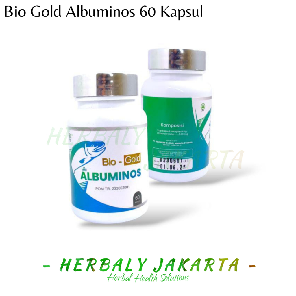 Jual Kapsul Ekstrak Ikan Gabus Albumin Original Isi 60 Kapsul ...