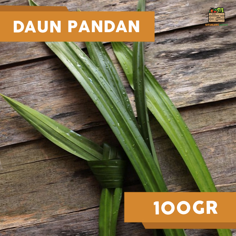 Jual Daun Pandan | 1 ikat (Kota Bandung & Sekitar) | Shopee Indonesia