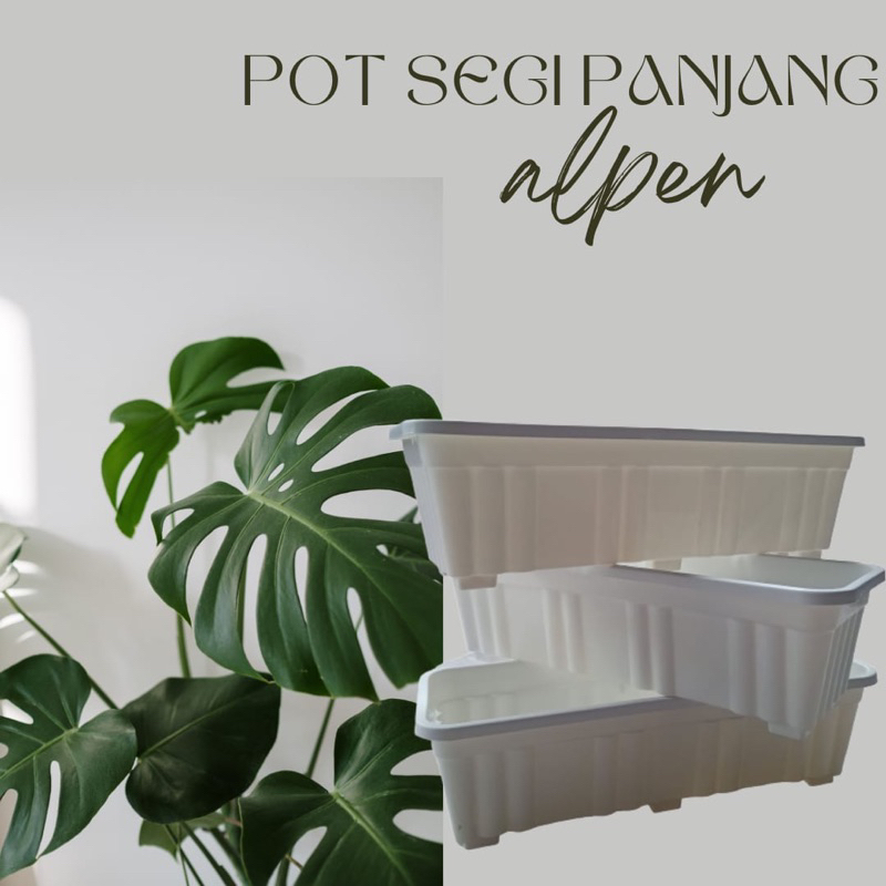 Jual Pot segi panjang alpen 50 pot bunga kotak segi panjang bagus ...