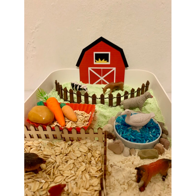 Jual Farm Sensory Play | Farm Sensory Bin | Mainan Edukasi Tema ...