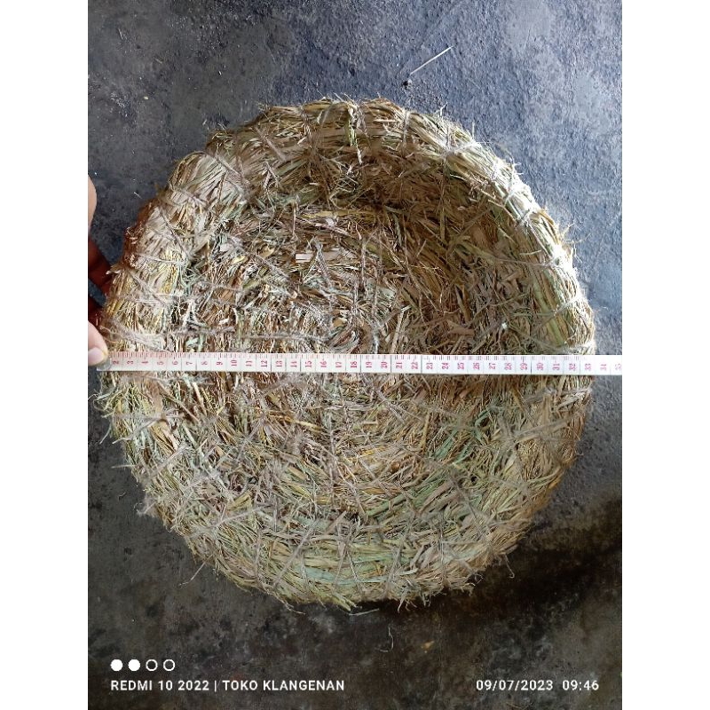 Jual Tarangan Ayam, Mentok Diameter 33cm | Shopee Indonesia