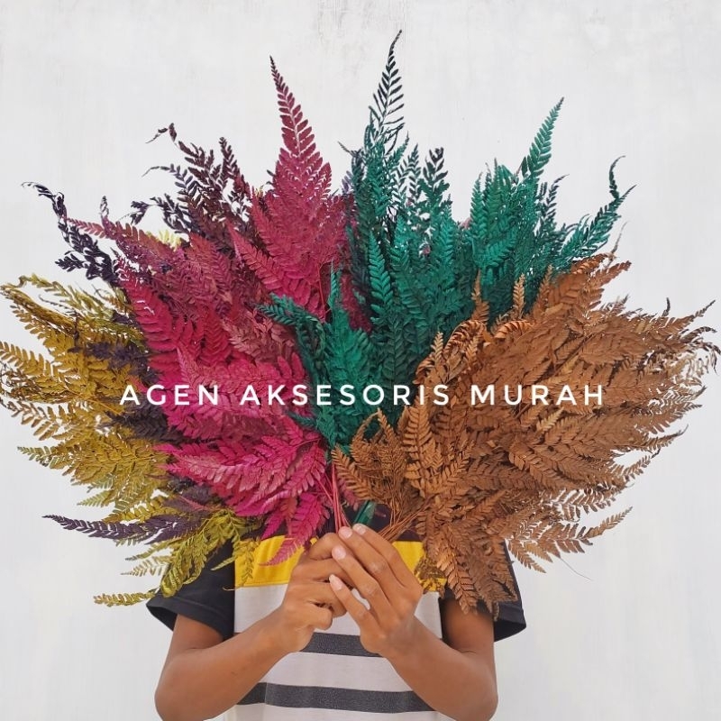 Jual (1 ikat) Daun Pakis kering/ Daun Pakis Rustic/Daun Kering | Shopee ...