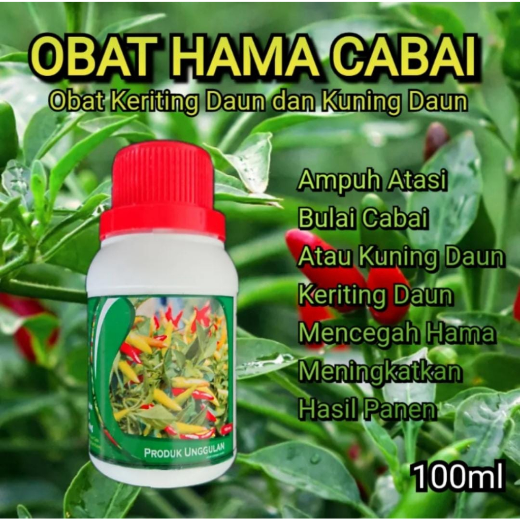 Jual Pupuk Bulai Cabe Anti Keriting Dan Nutrisi Untuk Tanaman Cabe ...