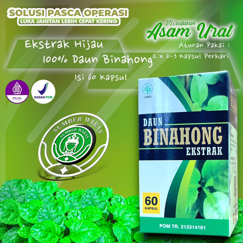 Jual Kapsul Daun Binahong Bpom Isi 60 Kapsul Ekstrak Binahong Obat Luka Pasca Operasi | Shopee ...