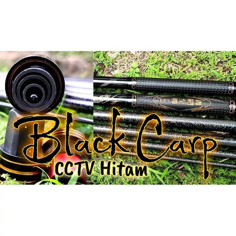 Jual CCTV HITAM /Black carp Tegek 20H Original | Shopee Indonesia
