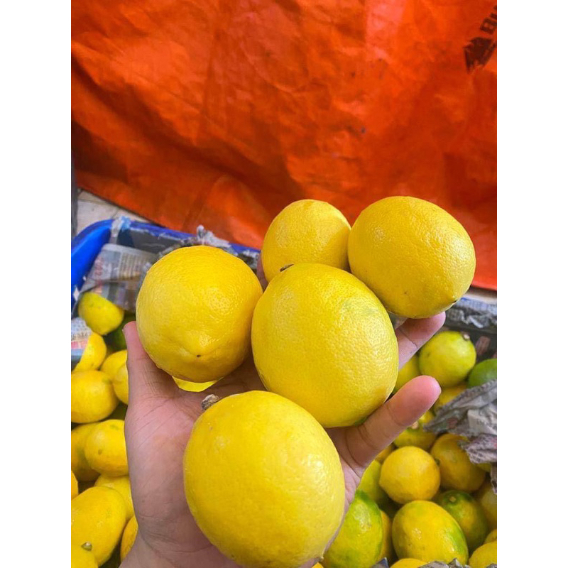 Jual Lemon California 1KG/ 1000gr (ISI 6-9 BUAH) | Shopee Indonesia