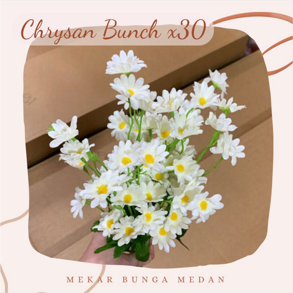 Jual (FR 222) - Bunga Artifisial Chrysan Aster Bunch x30 Dekorasi Bunga ...