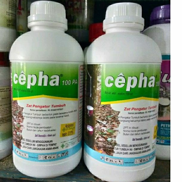 Jual Cepha 100pa kemasan 800 ml | Shopee Indonesia