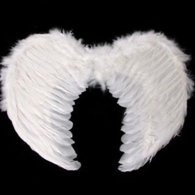 Jual [SPECIAL PRICE] SAYAP MALAIKAT PERI / SAYAP COSPLAY / ANGEL WINGS ...