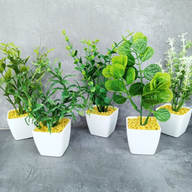Jual Rumput hias mini bunga plastik artificial tanaman dekorasi pot ...