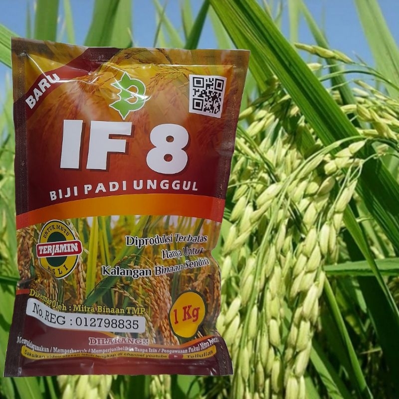 Jual Biji / Bibit Padi IF 8 | Shopee Indonesia