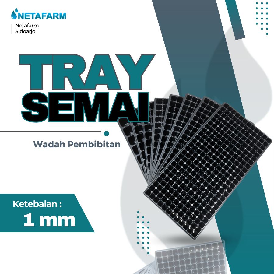 Jual Tray Semai 105 Lubang Traypot Hidroponik - Kardus 100 pcs | Shopee ...