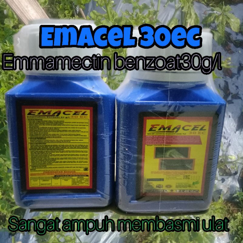 Jual EMACEL 250ML | Shopee Indonesia