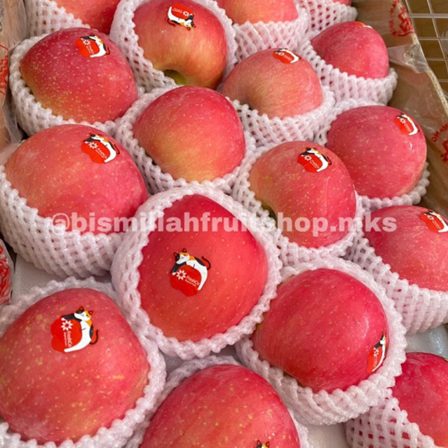 Jual Apel Fuji FreshCo - Bismillah Fruit Shop Makassar | Shopee Indonesia