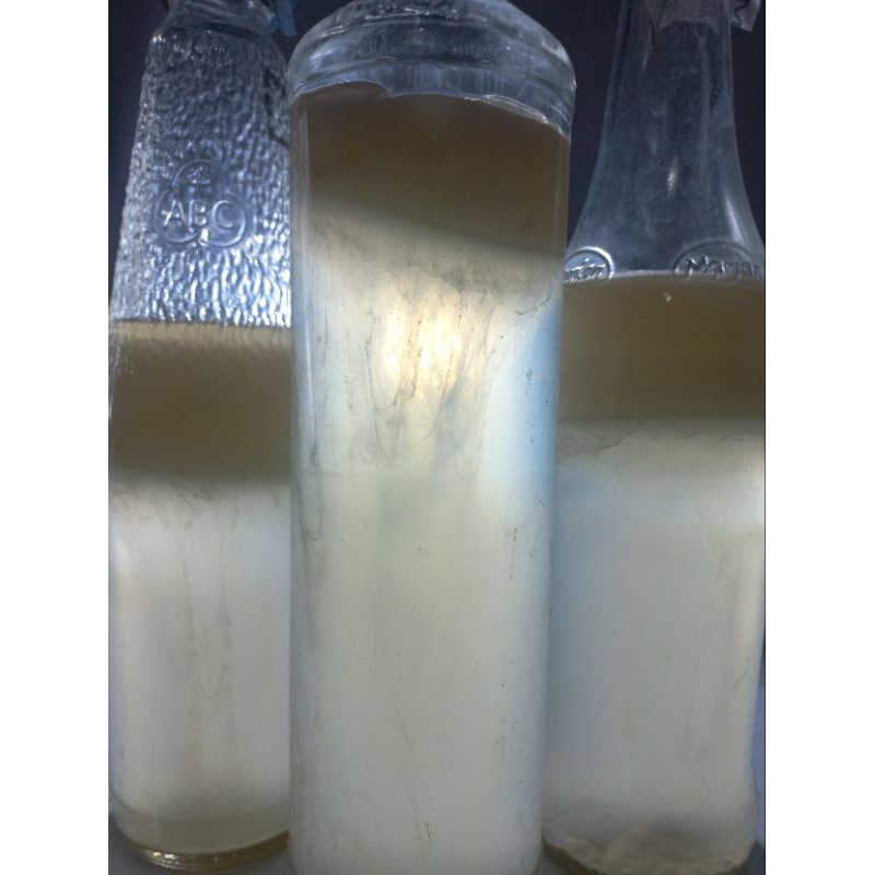 Jual (PROMO TERMURAH) Starter Nata de Coco SIAP PAKAI - bibit ...