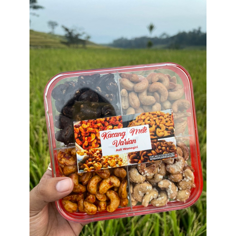 Jual KACANG METE MIX 4 RASA NETTO 500 GRAM / KACANG METE TRAY | Shopee ...
