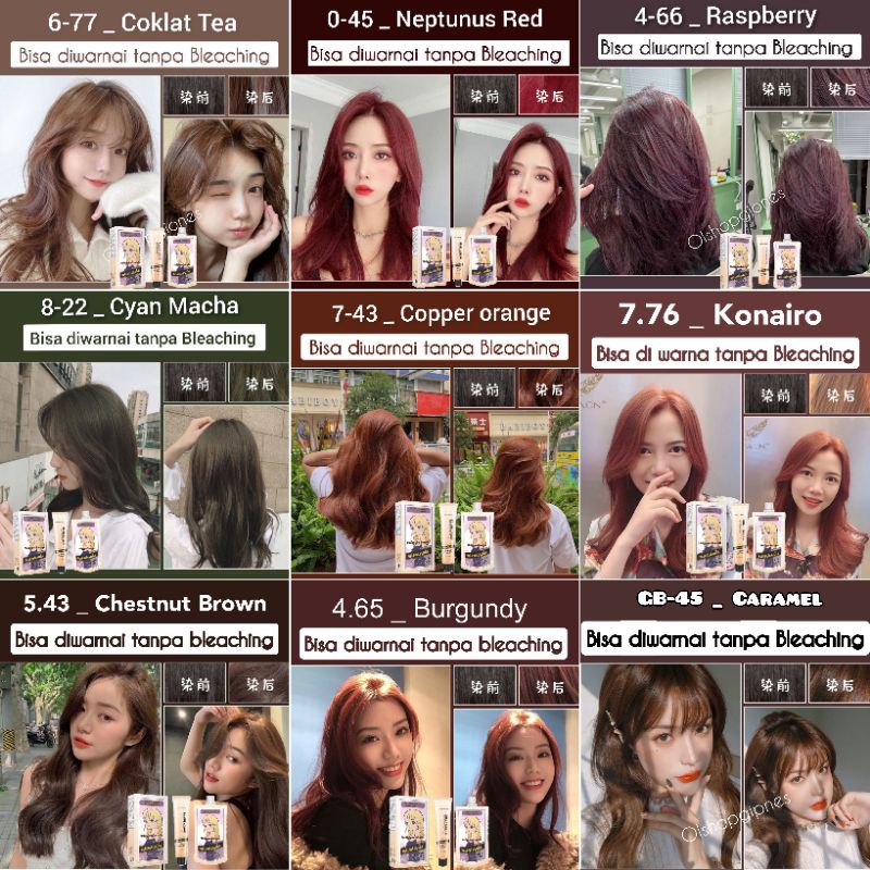 Jual Fenkang Miomiosaki hair color japan tanpa bleaching cat pewarna ...