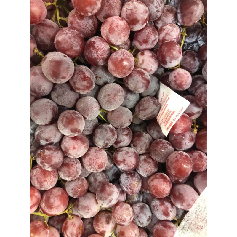 Jual anggur merah anggur red globe aussie 500 g | Shopee Indonesia