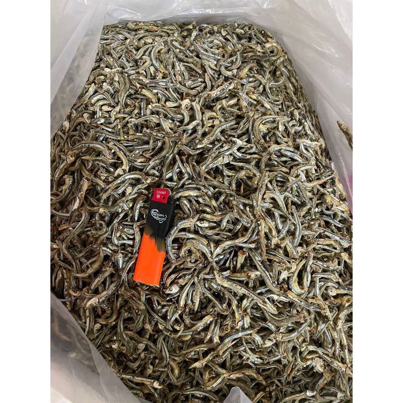 Jual Ikan Teri Tanjung Pinang Bilis Asli 250gr | Shopee Indonesia