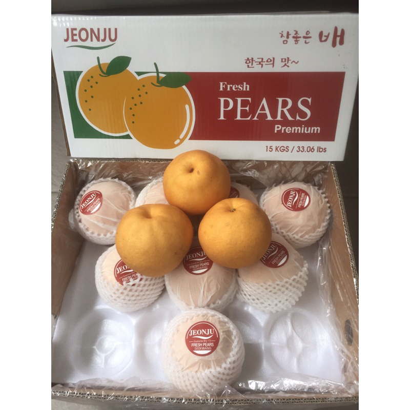 Jual Buah Pear Pir Singo Korea 1 Dus (15 KG ) Fresh Import | Shopee ...