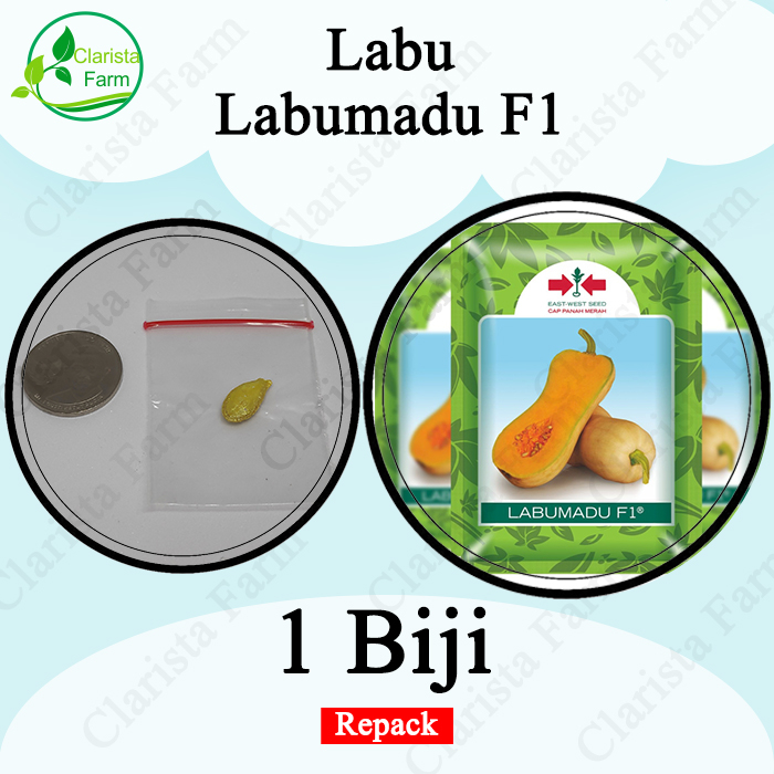 Jual Benih Bibit Labu Labu Madu Labumadu F1 Repack Cap Panah Merah ...