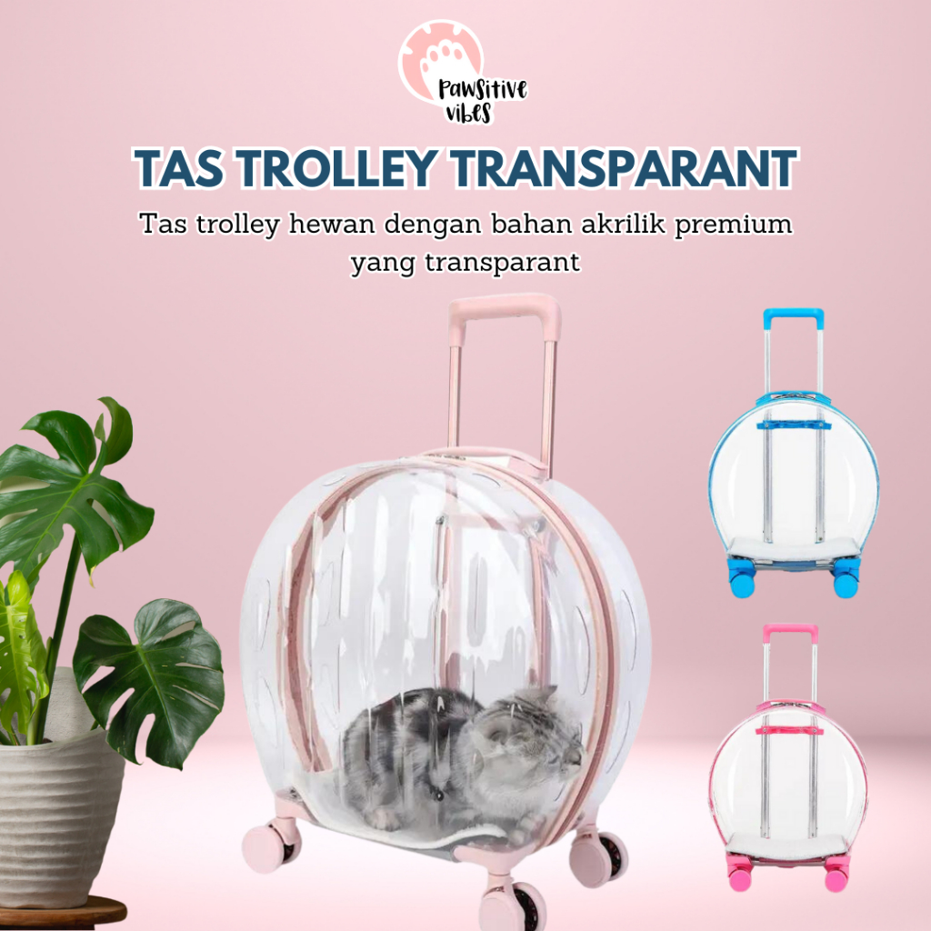 Jual (Bergaransi) Tas Trolli Transparan | Pet Cargo | Tas Anjing Kucing ...