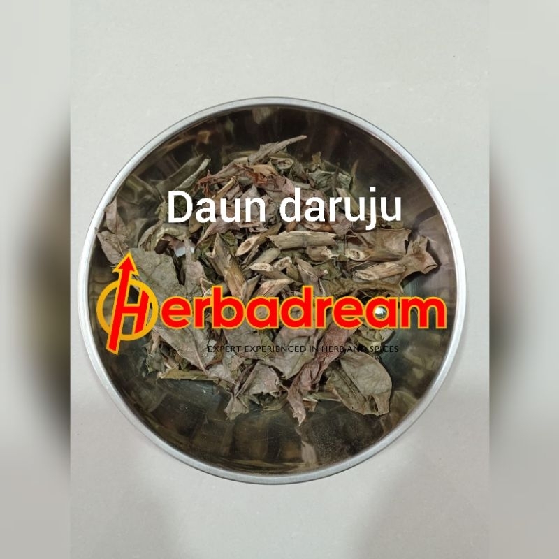 Jual 1 KG DAUN DARUJU ACANTHUS ILICIFOLIUS JERUJU DRUJU DERUJU MOUNTAIN ...