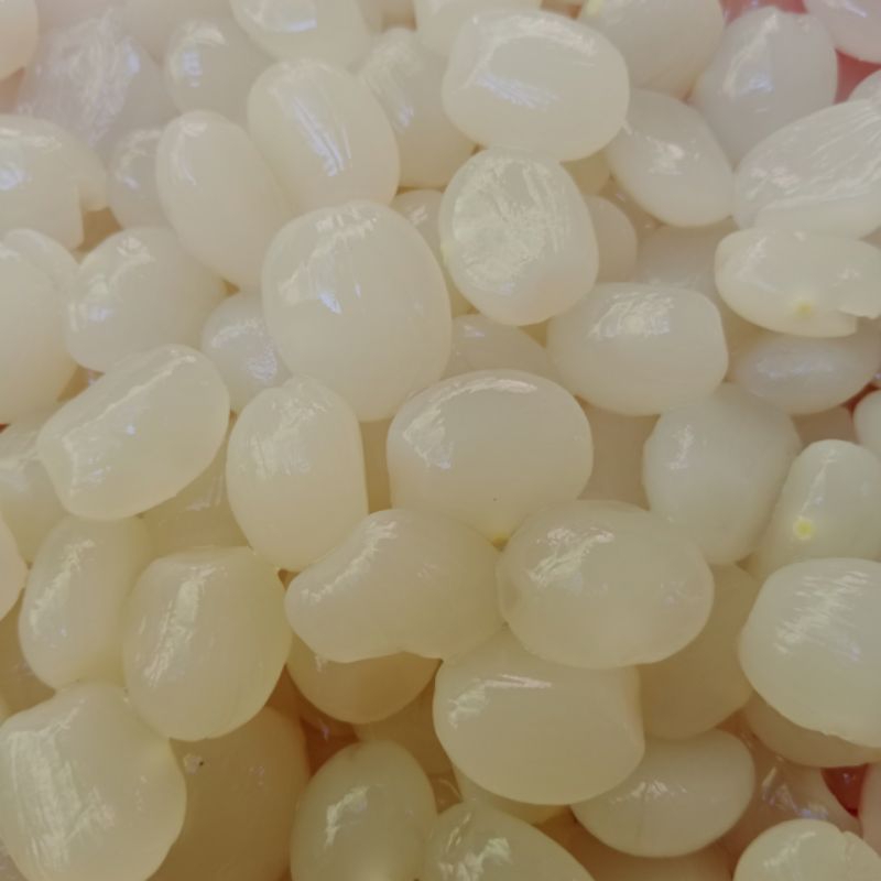 Jual Kolang Kaling Segar 1 Kg | Shopee Indonesia Jual Kolang Kaling Segar 1 Kg | Shopee Indonesia