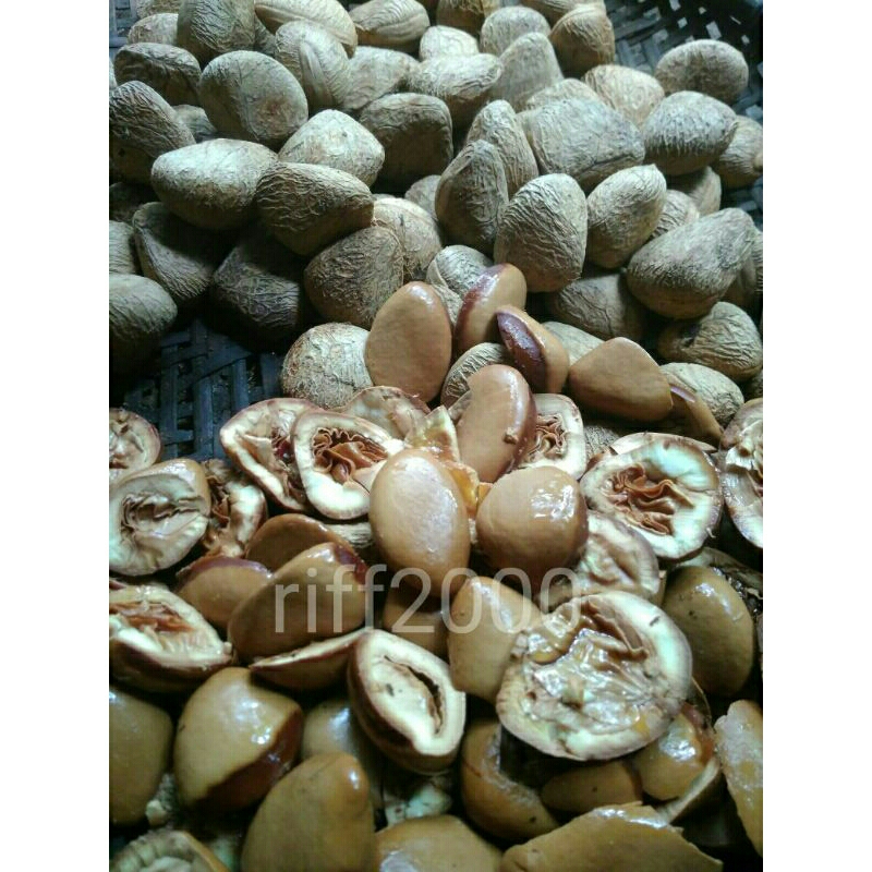 Jual Sayuran segar Buah Keluwak segar, Buah Picung Buah kelewek 1kg ...