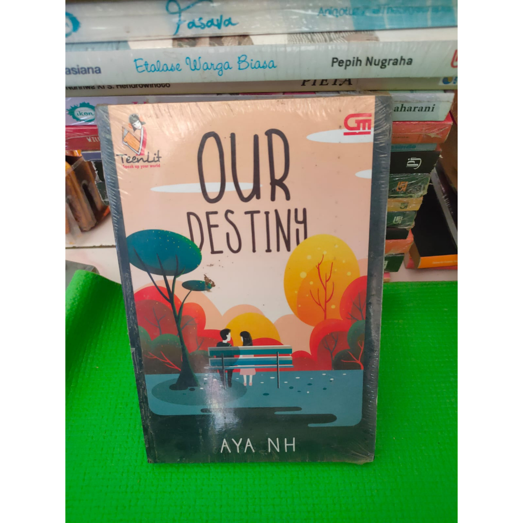 Jual BUKU NOVEL TEENLIT OUR DESTINY (AYA NH) | Shopee Indonesia