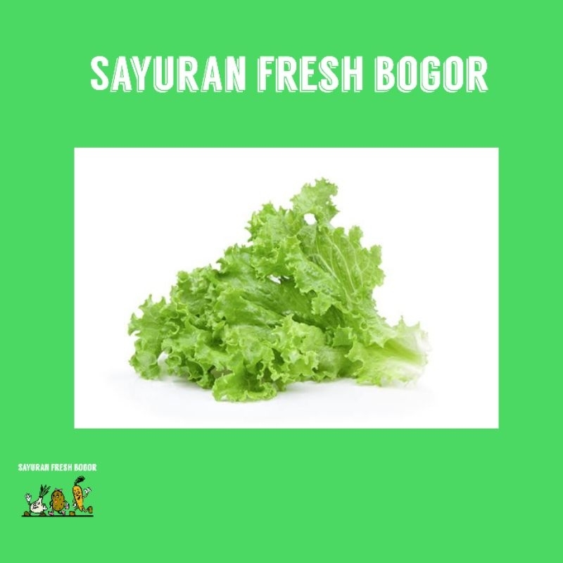 Jual Selada Air ( 250 Gram ) | Sayuran Fresh Bogor | Shopee Indonesia